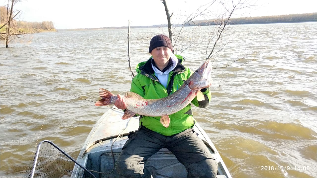 Серия спиннинговых удилищ Graphiteleader Aspro | Спиннинговые удилища ...