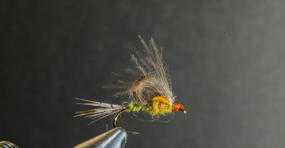 CDC Olive Emerger - Картинки и фото рыбаков